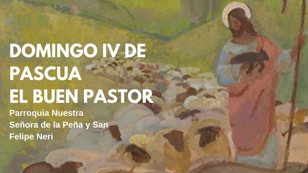 Iv Domingo De Pascua El Buen Pastor Youtube