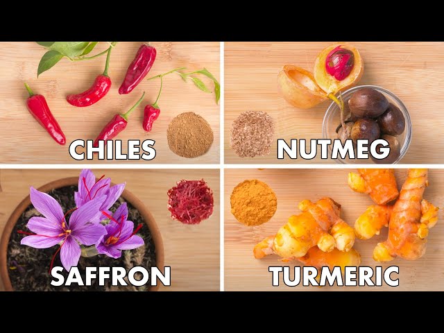 Method Mastery Docustreams