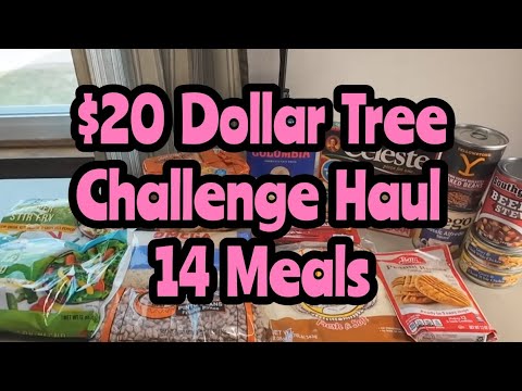 20 Dollar Tree Challenge Haul For 14 Meals Come Shopping With Me