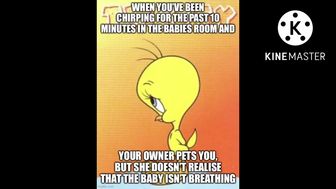 Distressing Memes V2 Youtube