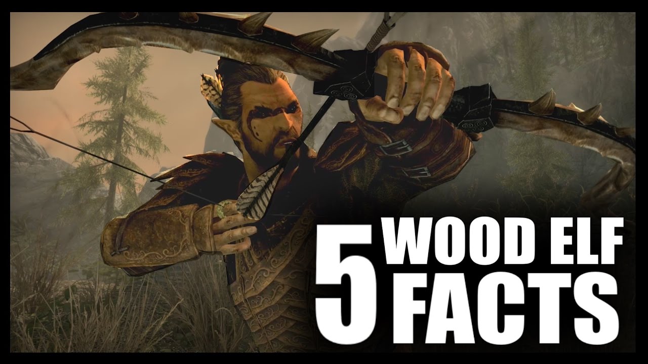 Skyrim 5 Wood Elf Facts Elder Scrolls Lore Youtube