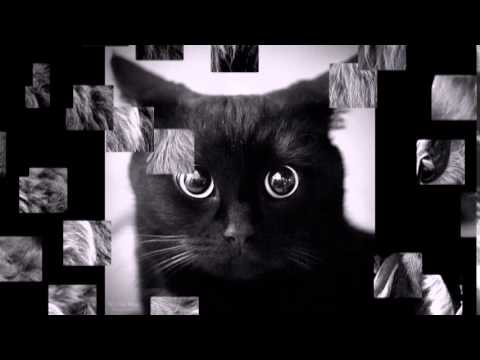 Minuscule Theme Youtube