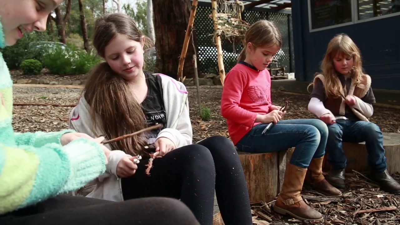 Learning In Nature An Upper Sturt Primary School Case Study Youtube