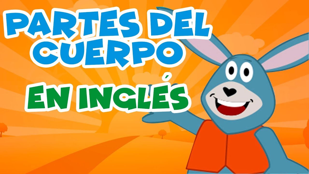 Dibujos Del Cuerpo Humano Para Imprimir Sin Nombres En Ingles