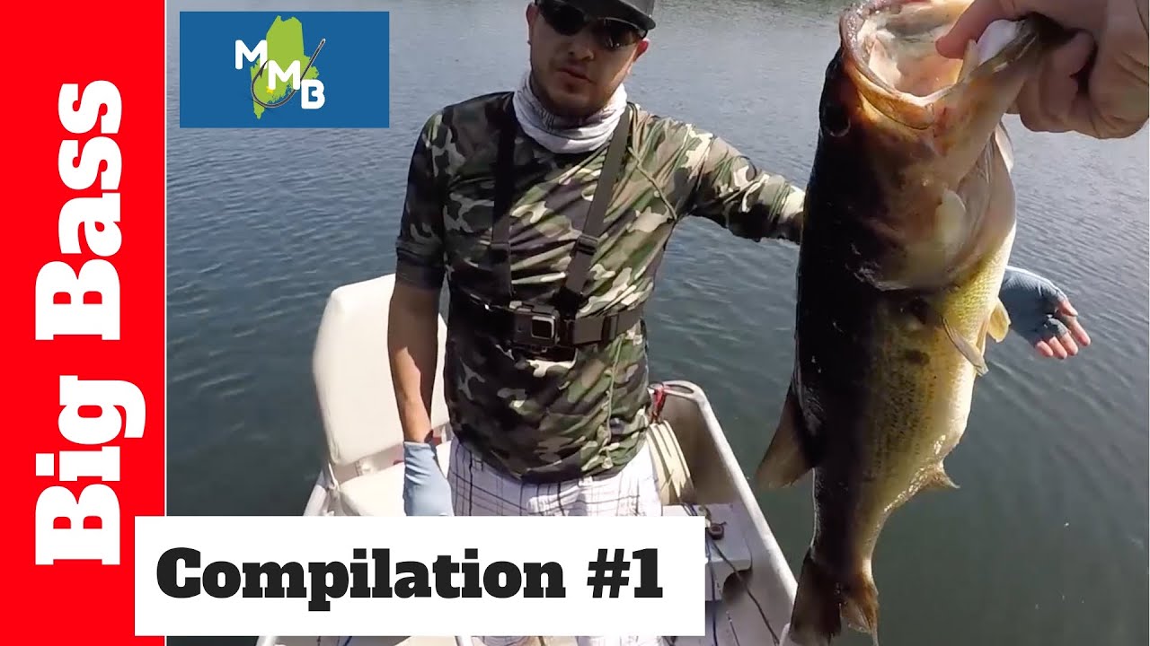 Big Bass Compilation Youtube