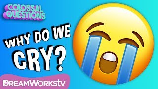 Why Do Onions Make Us Cry Colossal Questions Learn Withme Mp3 Mp4