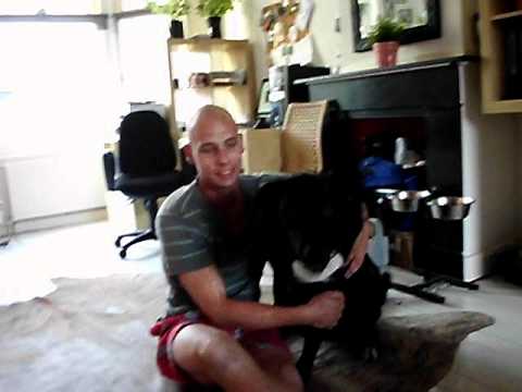 Dsci0113 Youtube