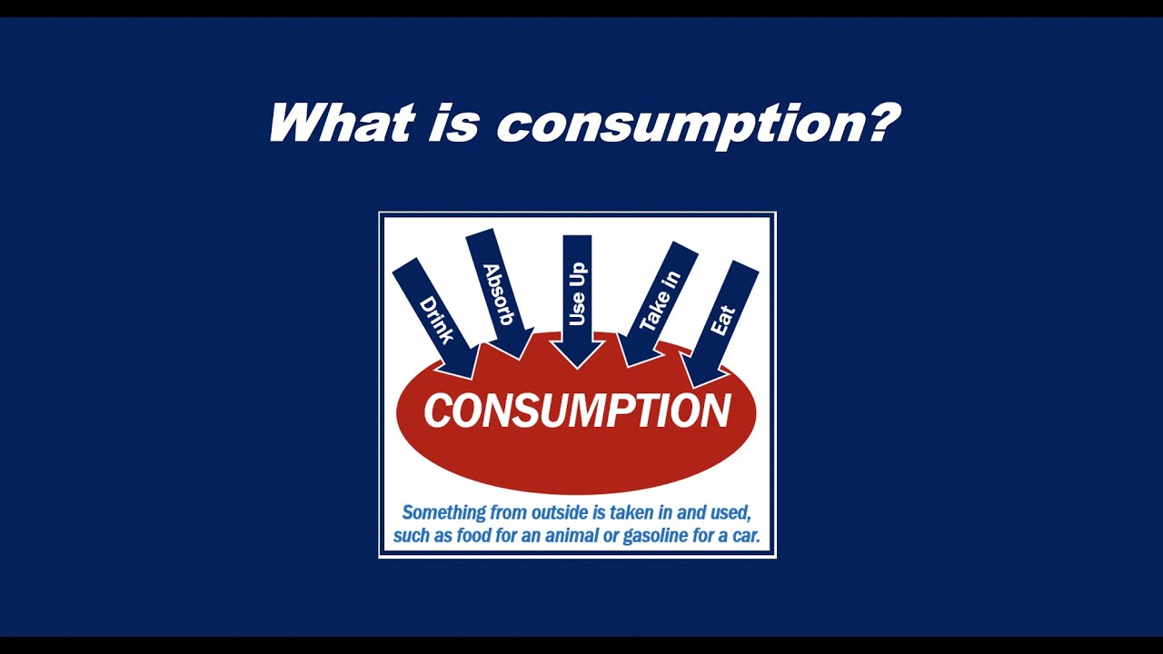 What Is Consumption Youtube