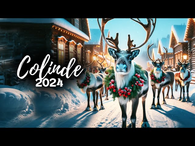 Colinde 2024 MIX Cele Mai Apreciate Colinde de Craciun Romanesti