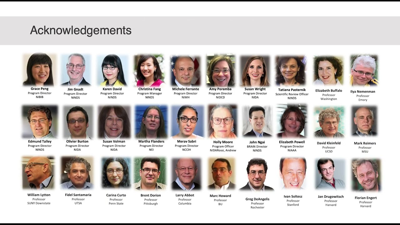 Web Application Development Full Stack Application Examples Go It