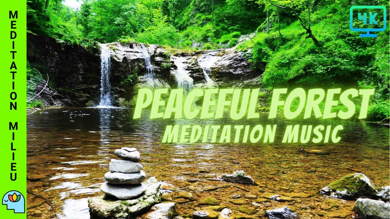 Peaceful Forest Meditation Music For Peaceful Sleep Relaxation Study