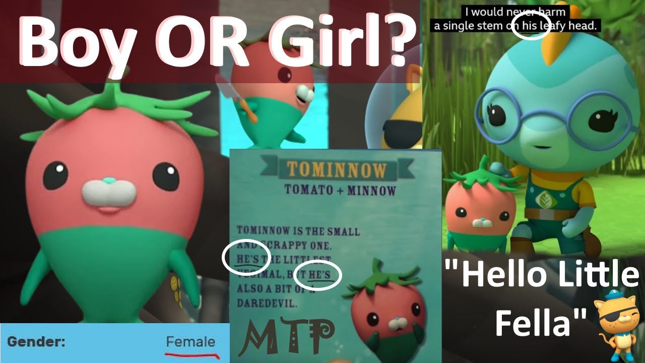 Octonauts Tominnow Boy Or Girl The Littlest Vegimal S Facts