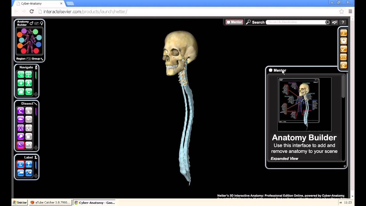 Tutorial Netter 3d Parte 2 4 Youtube