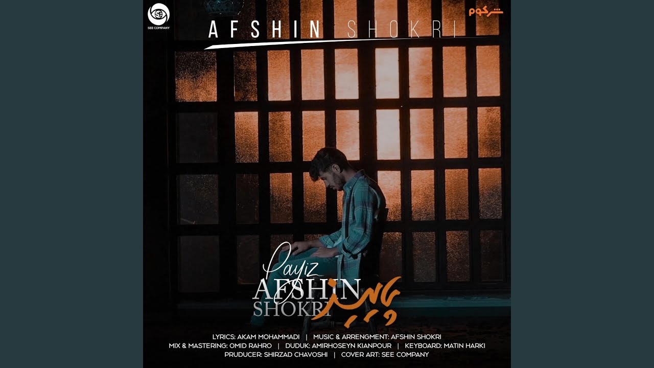 Payîz Youtube Music