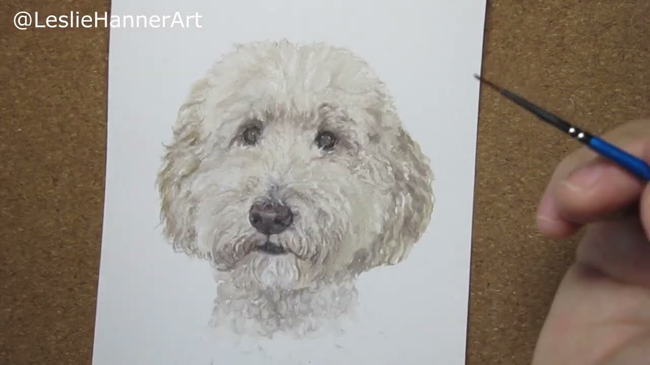 How To Draw A Realistic Golden Doodle