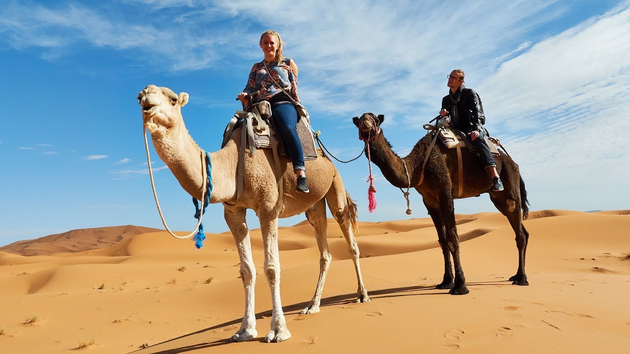 People Riding Camels In Desert