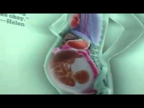 Asi Se Forma Un Bebe Youtube