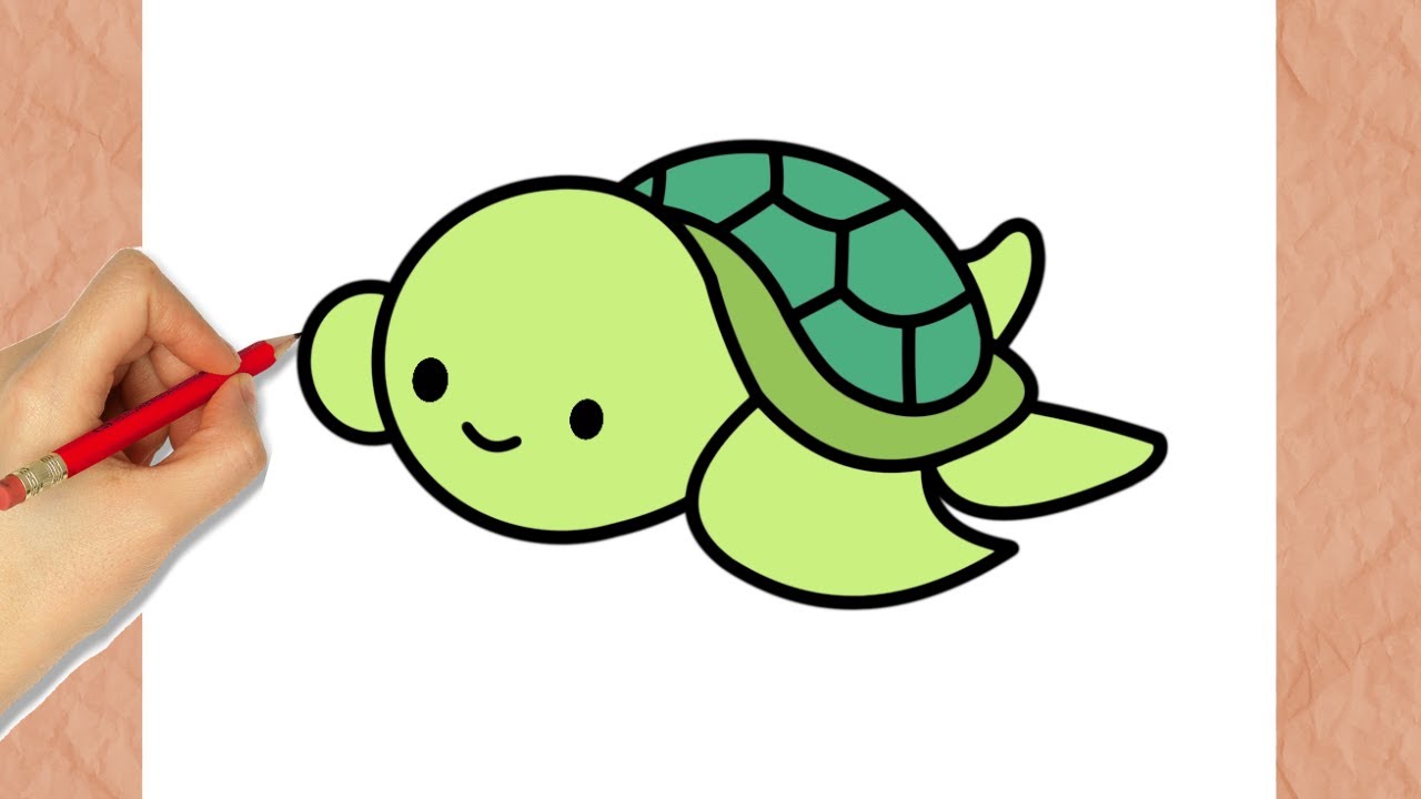 How To Draw A Kawaii Turtle Youtube