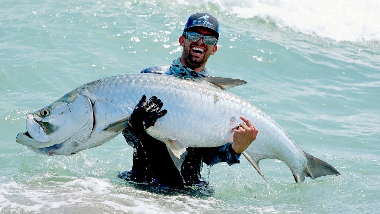 Monster Fish Caught From The Beach Youtube