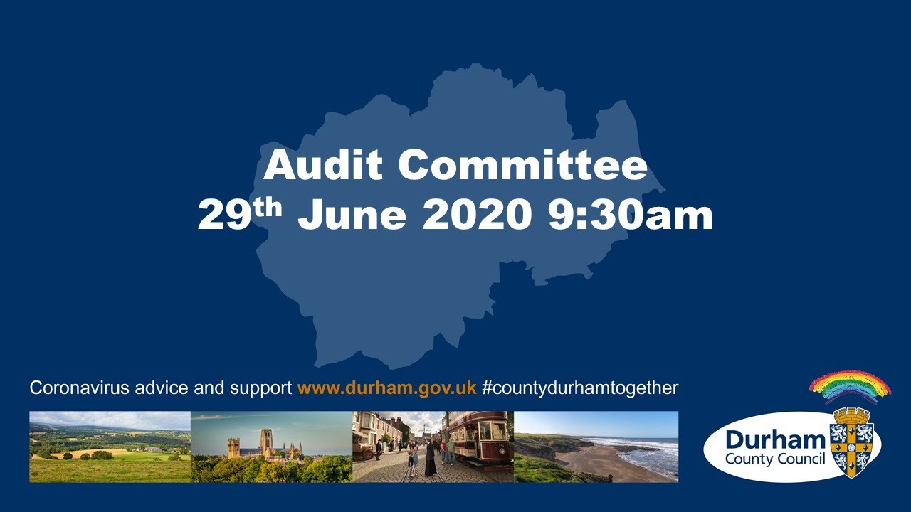 Audit Committee Youtube