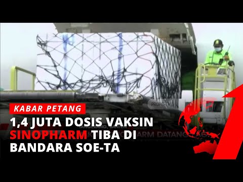Datang Lagi Sebanyak 1 4 Juta Dosis Vaksin Sinopharm Tiba Di Bandara