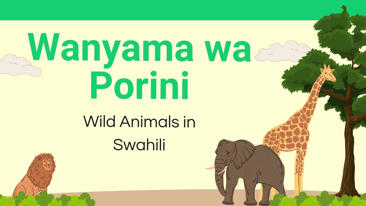 Wanyama Wa Porini Youtube