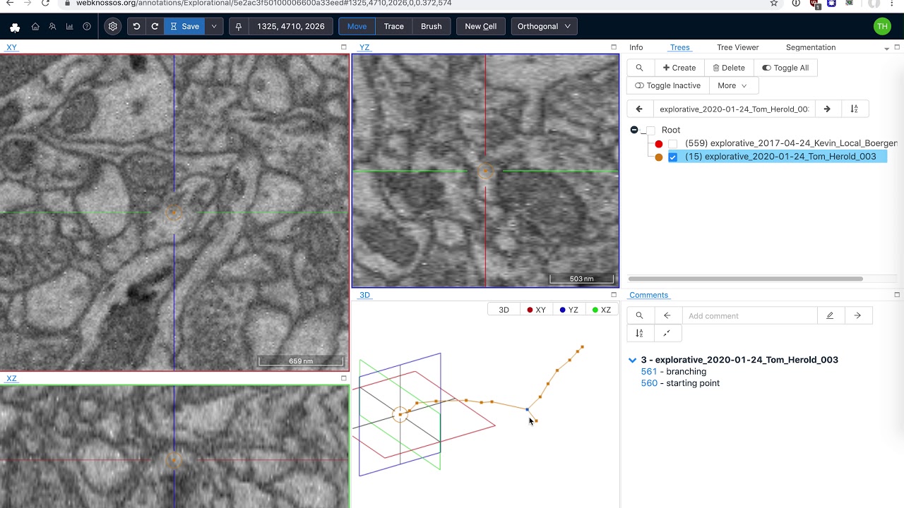 Webknossos Skeleton Annotations Youtube