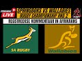 Springboks Vs Wallabies Rugby Championship 2025 Live Commentary In ...
