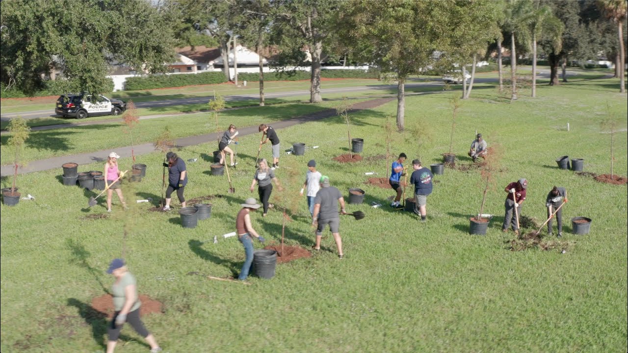 City Municipal Partnerships Community Greening