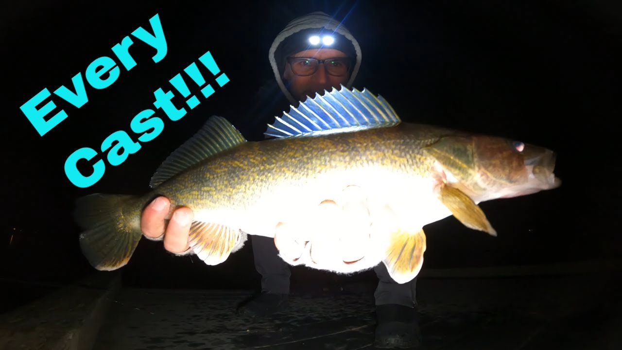 Night Fishing Walleye On The Columbia River 101 How I Catch Walleye