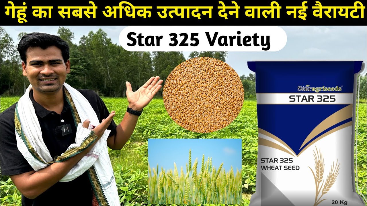 ग ह क सबस अध क उत प दन द न व ल स ट र 325 व र यट क प र ज नक र
