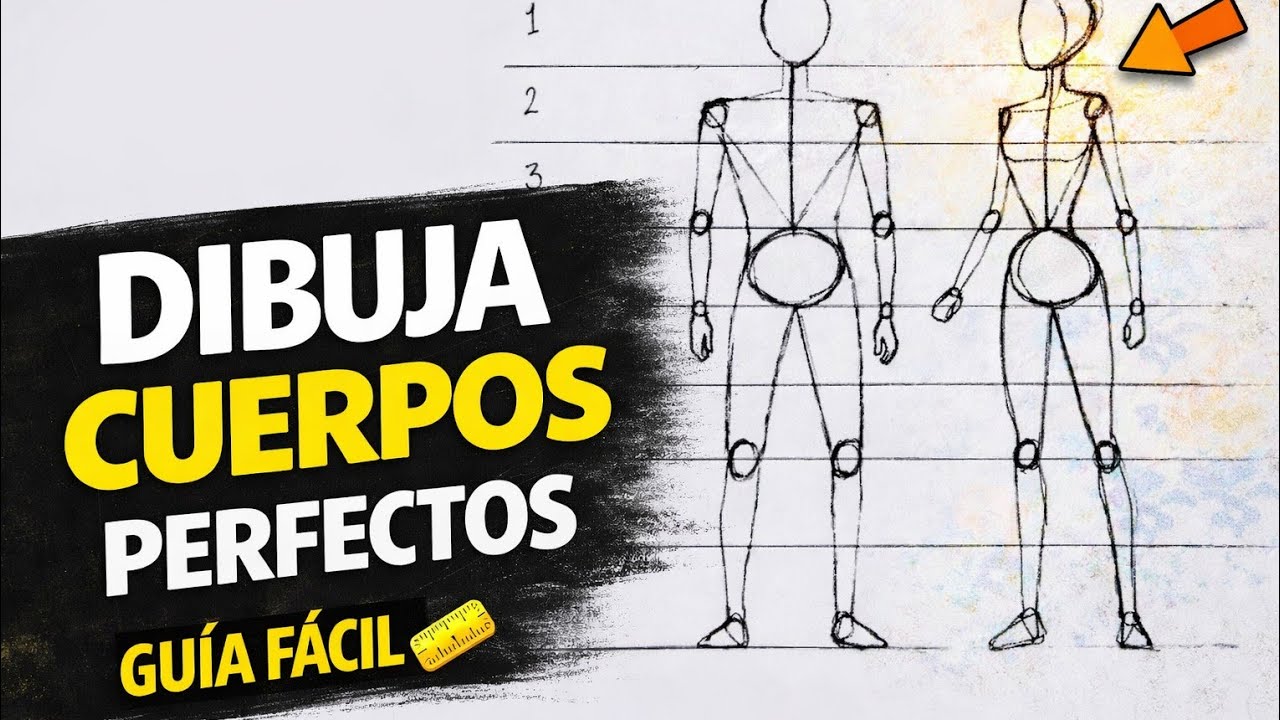 Proporciones De La Figura Humana