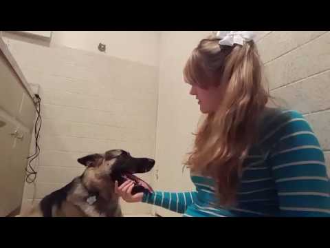 Sex With Dog White Girl Wtf Pt 1 Please Subscribe I M