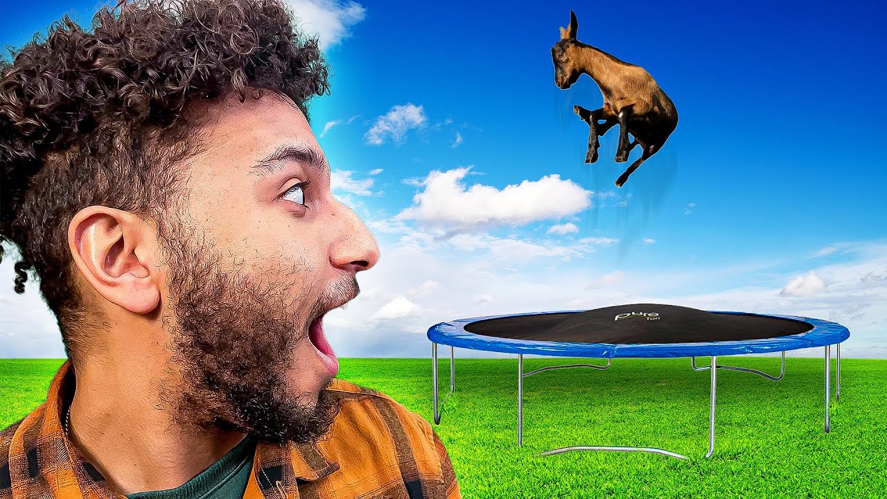 Making Goats Fly Youtube