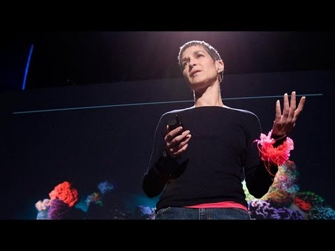 The Beautiful Math Of Coral Margaret Wertheim Ted Ed