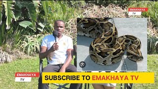 Isithwalo Se Nigeria Sidla Abantwana Bam Ngichithikelwa Izisu Ngenxa ...