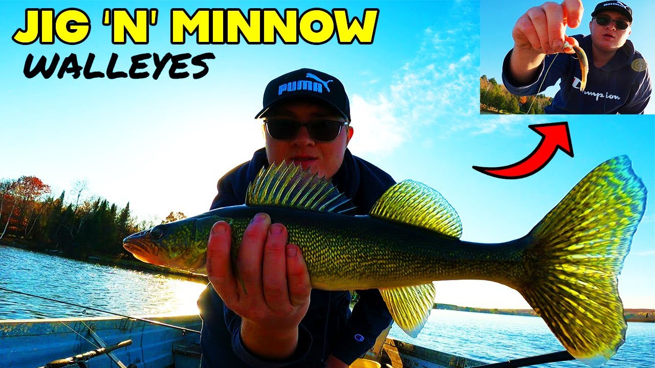 How To Catch Fall Walleye Easy Technique To Catch Them Right Now
