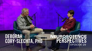 Exploring The Impact Of Environmental Chemicals On Brain Health Del ...
