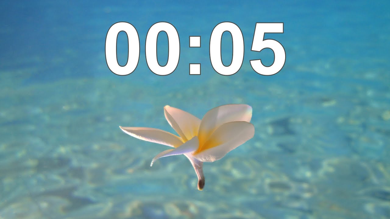 5 Second Timer Countdown Clock Timer Youtube