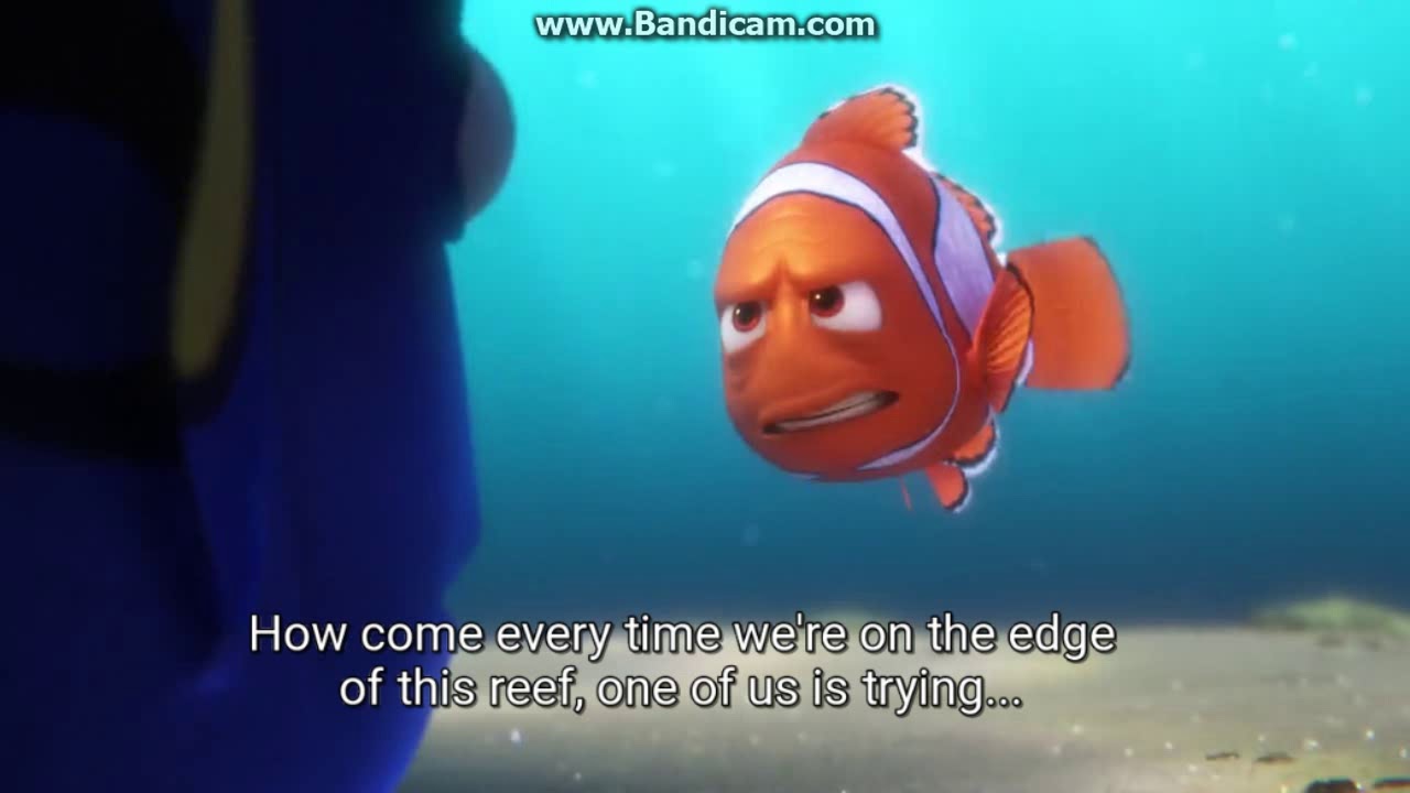 Finding Dory Scene 5 Youtube