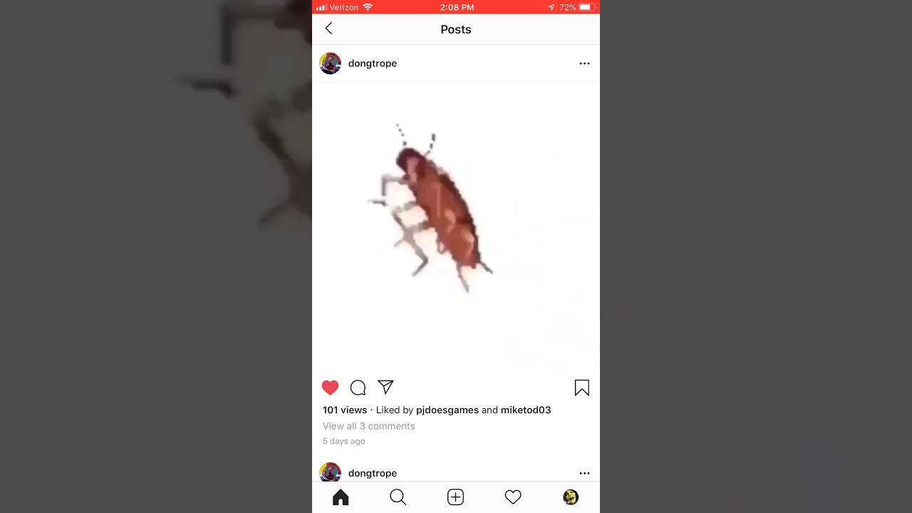 Dancing Bug Youtube