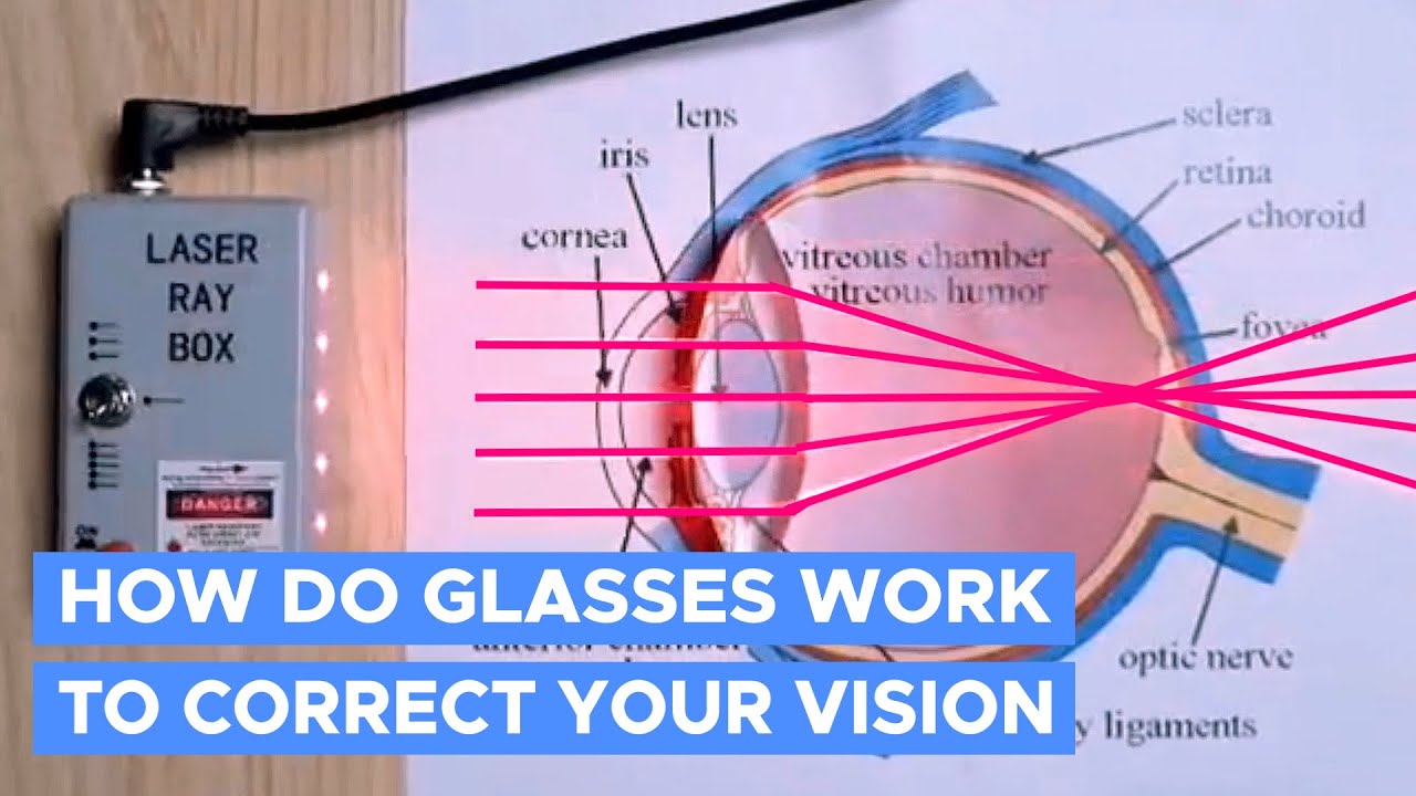 How Do Eyes And Glasses Work To Correct Your Vision Youtube