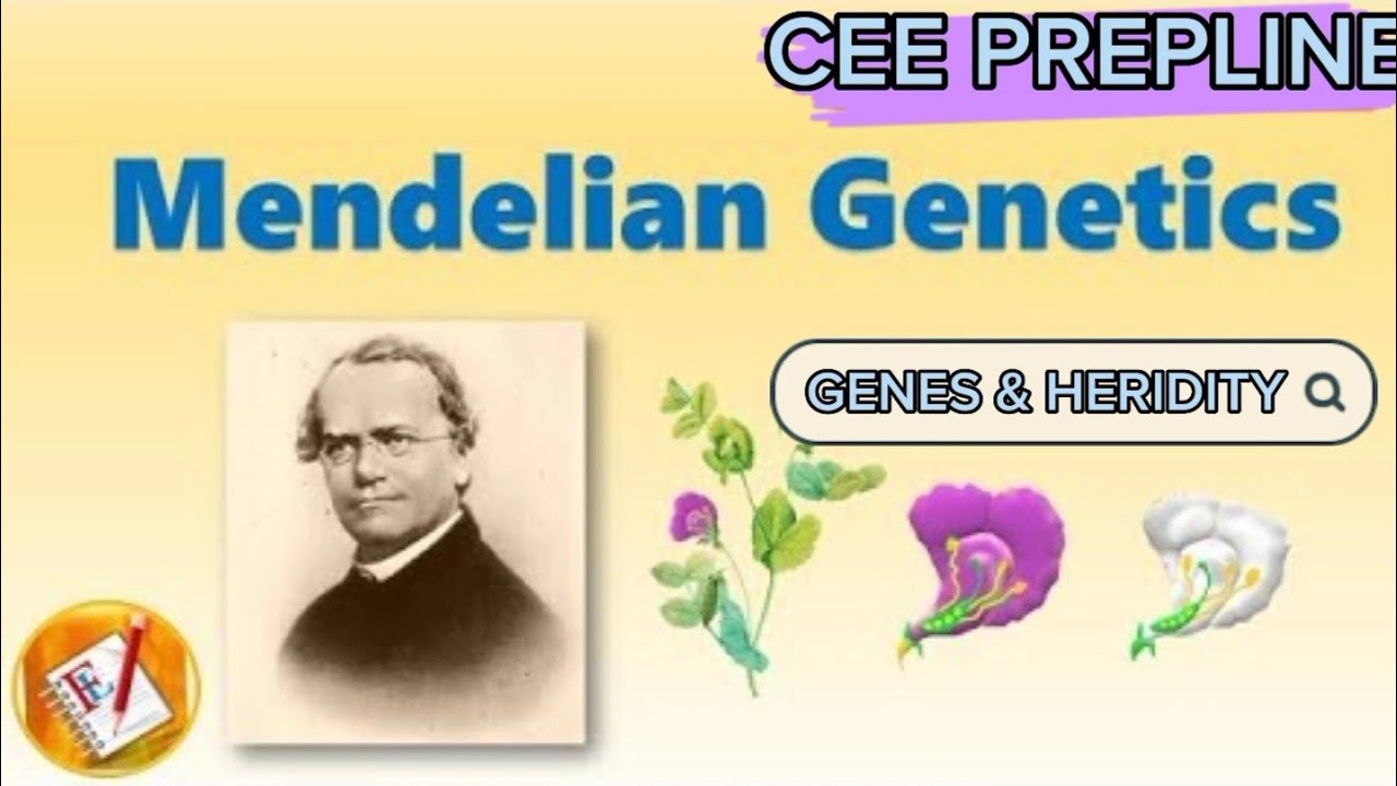 Genetics Part 1 Youtube