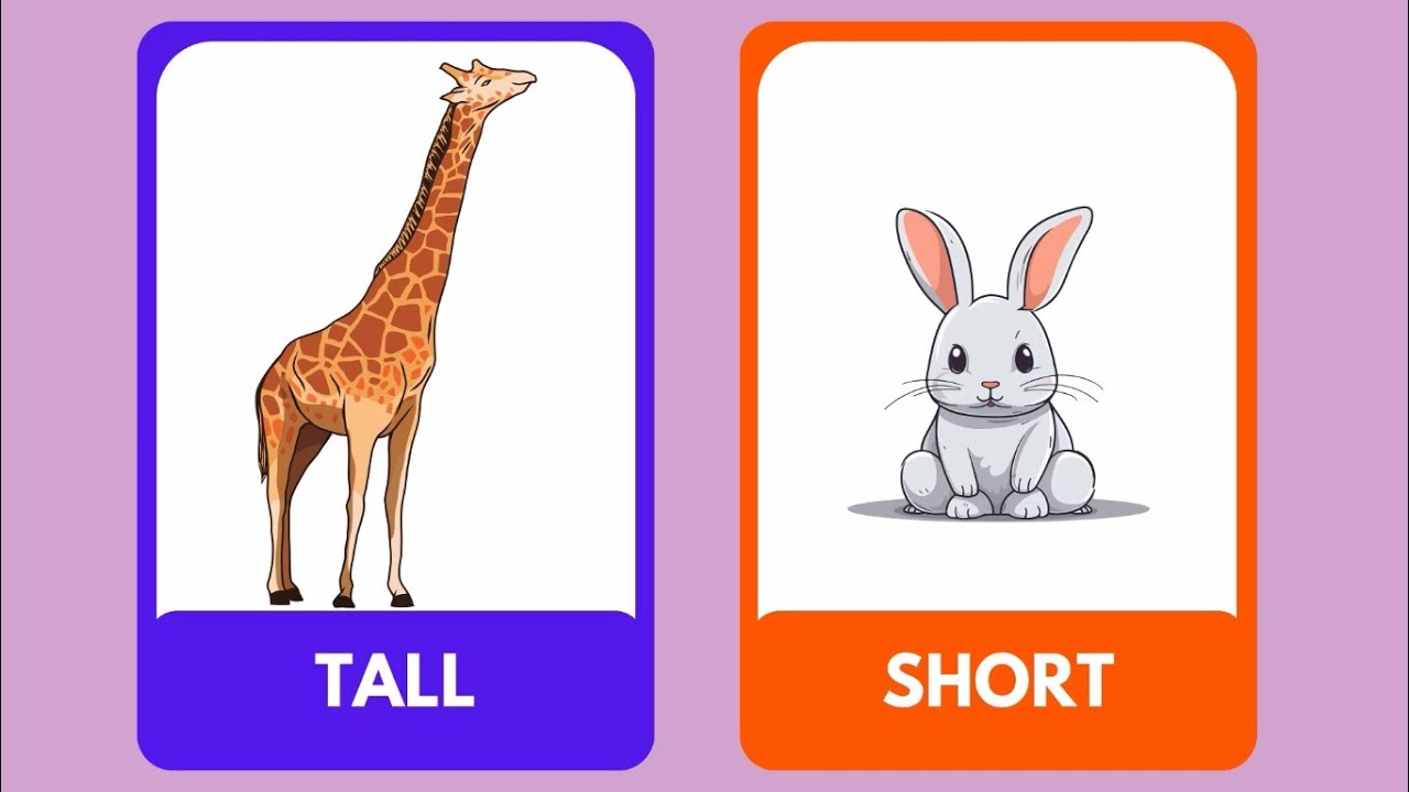 Learn Opposites With Fun Flashcards Aprende Con Gael Y Owen Youtube