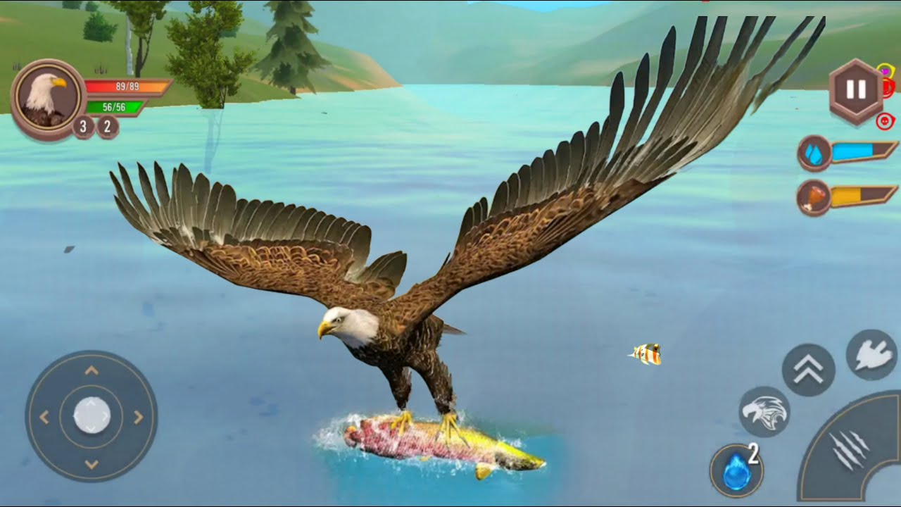 Eagle Simulator 3d Engle Games Best Gameplay Hd Youtube