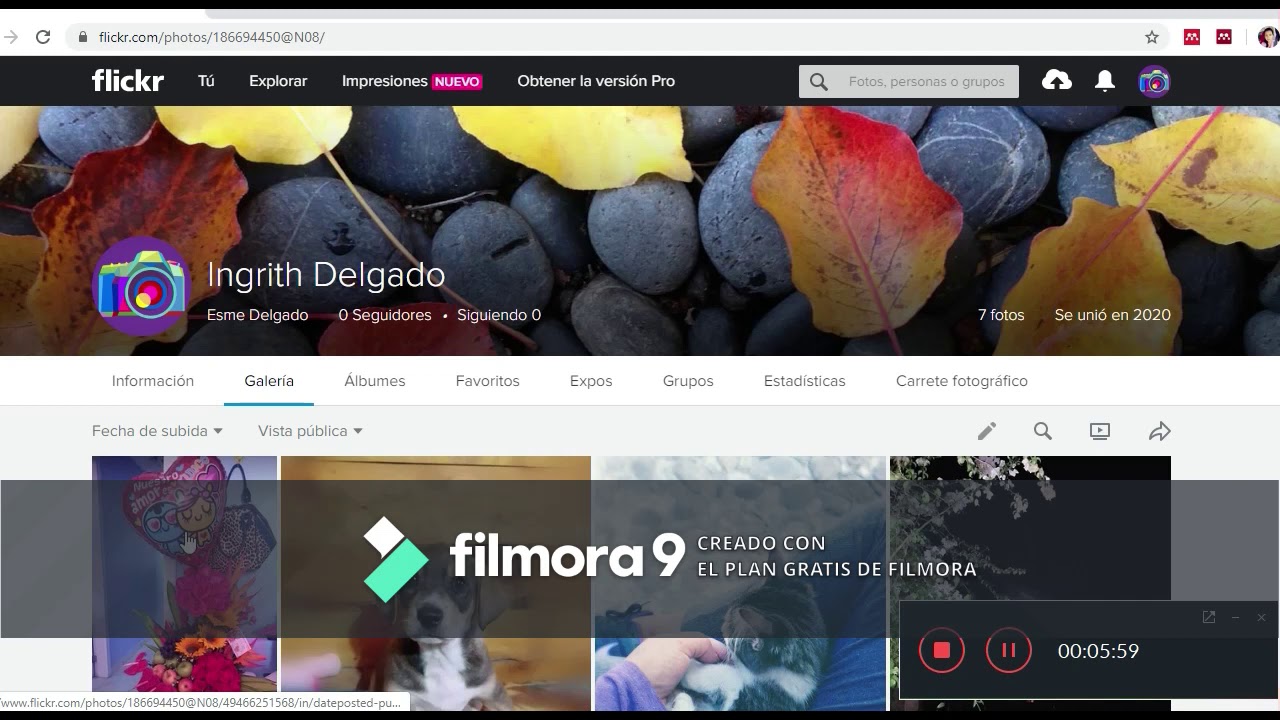 Flickr Youtube