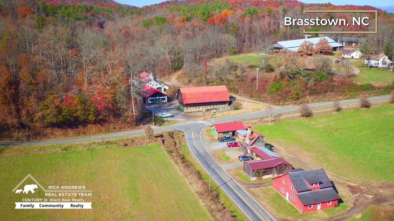 Brasstown Farms At Qiana Flowers Blog