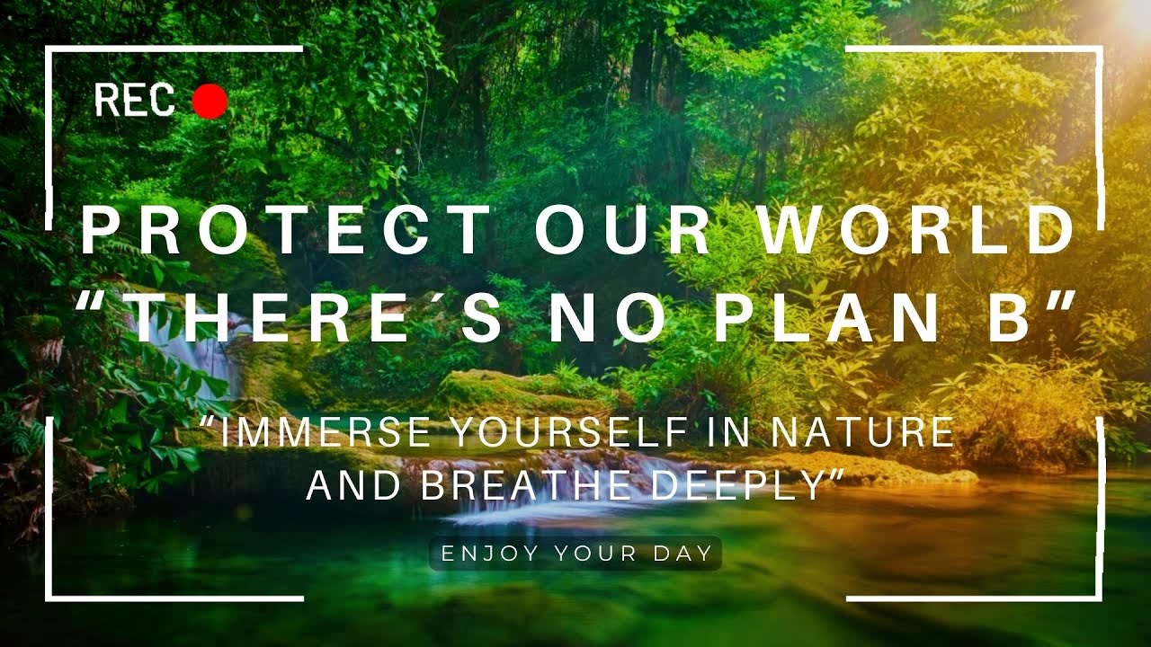 Calm Your Mind Reflective Music For Stress Relief Youtube Music