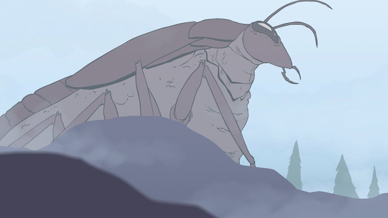 Dread Roach Animation Series Youtube