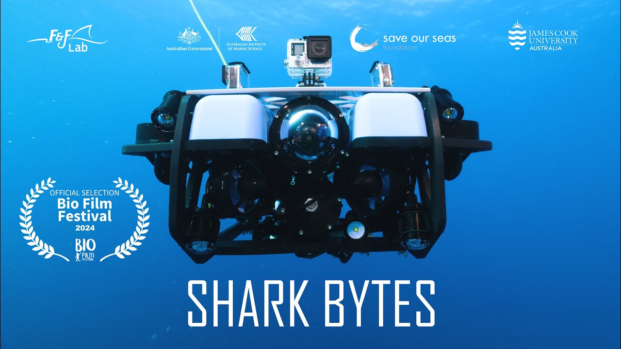 Shark Bytes Youtube